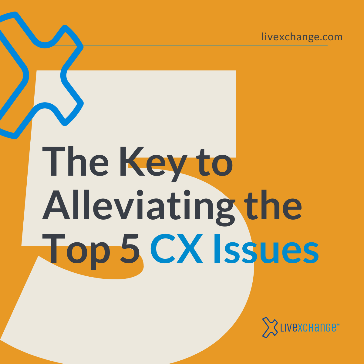 The Key to Alleviating the Top 5 CX Issues